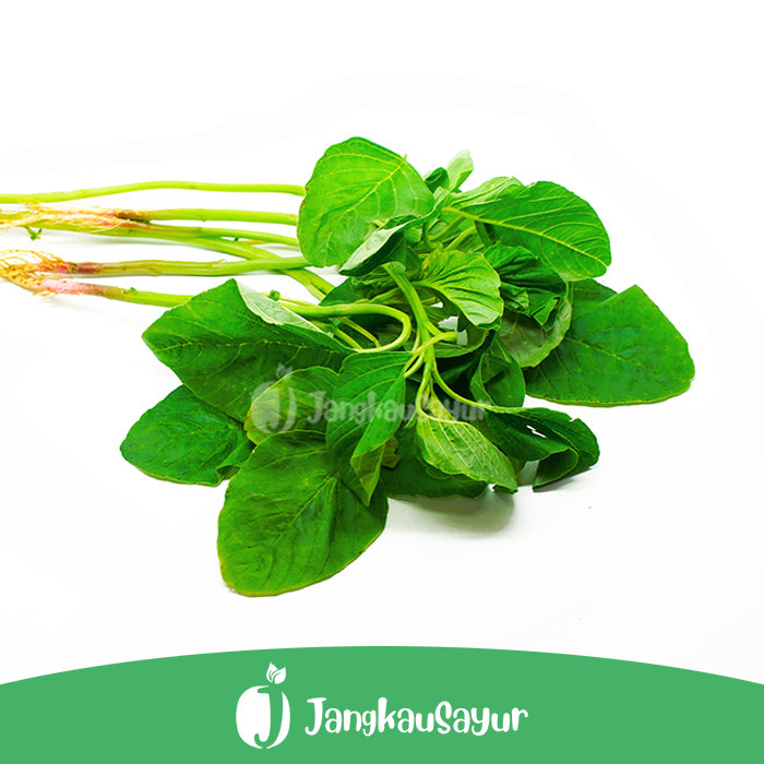 Bayam Hijau per Ikat – jangkausayur